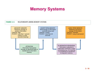 Learning and memory | PPT