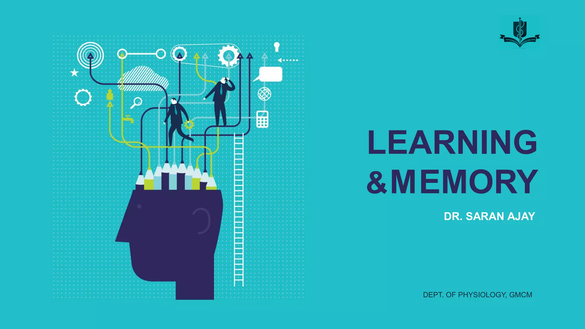 Learning and Memory | PDF