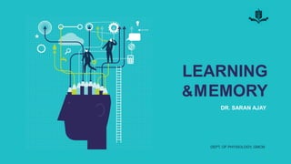 Learning and Memory | PDF