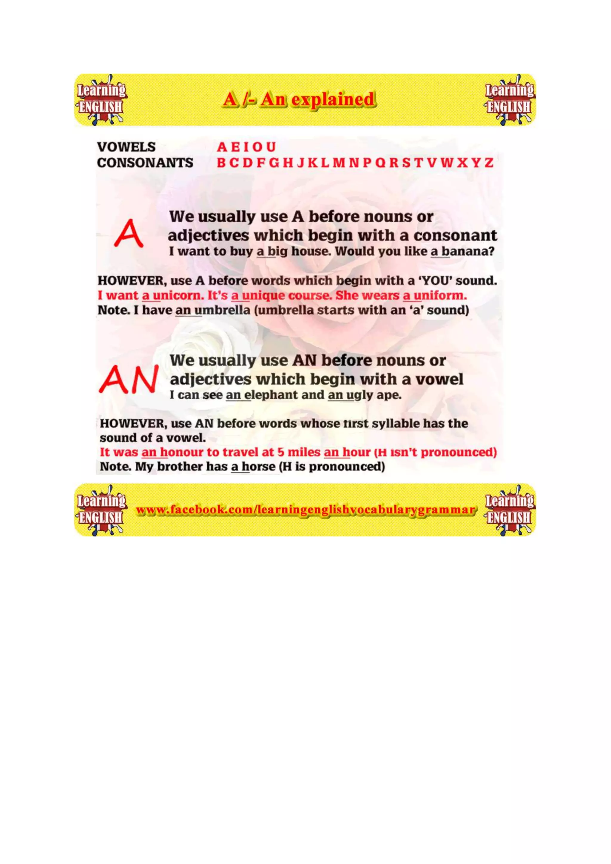 Learning basic English - basics of English lessons | PDF