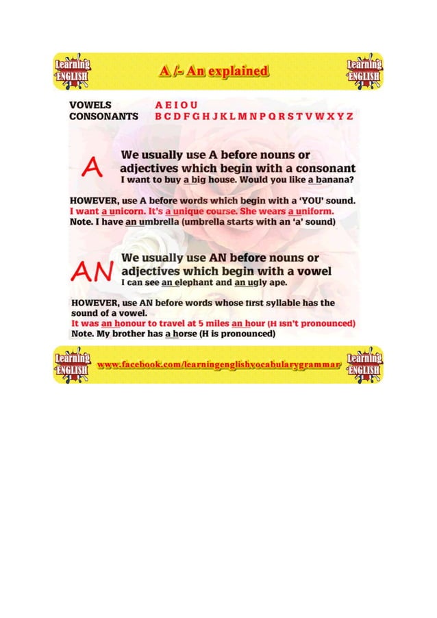 Learning basic English - basics of English lessons | PDF