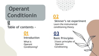 Learning (Basic psychology) (1).ppt x sa | PPTX