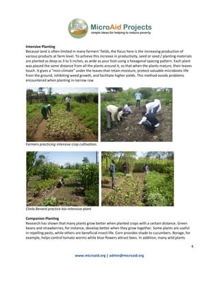 Learning biointensive agriculture in small farms | PDF | Agriculture ...