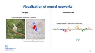 Learning biologically relevant features using convolutional neural networks for dna sequence ...