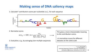 Learning biologically relevant features using convolutional neural ...