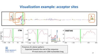 Learning biologically relevant features using convolutional neural ...