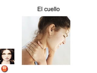 Learning Body Parts In Spanish | PPT