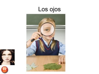 Learning Body Parts In Spanish | PPT