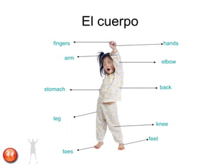 Learning Body Parts In Spanish | PPT