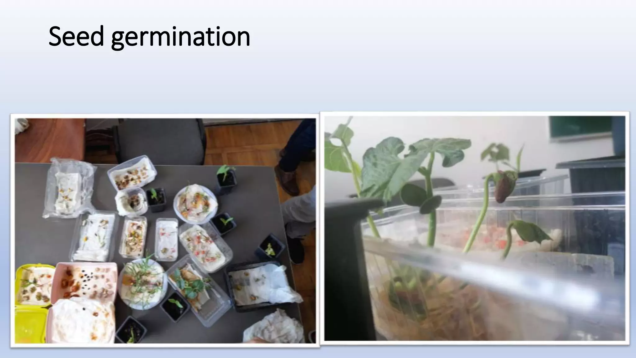 LEARNING BY DOING.pptx