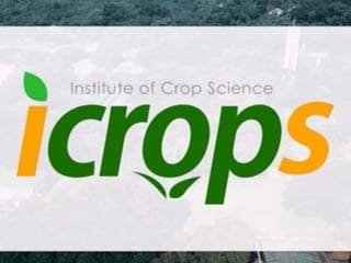 It’s fun to Learn the Science Behind Crops | PDF