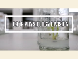 It’s fun to Learn the Science Behind Crops | PDF