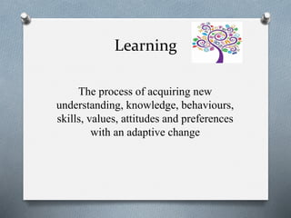 An Introduction To Learning Disabilities | PDF | Brain and Nervous ...