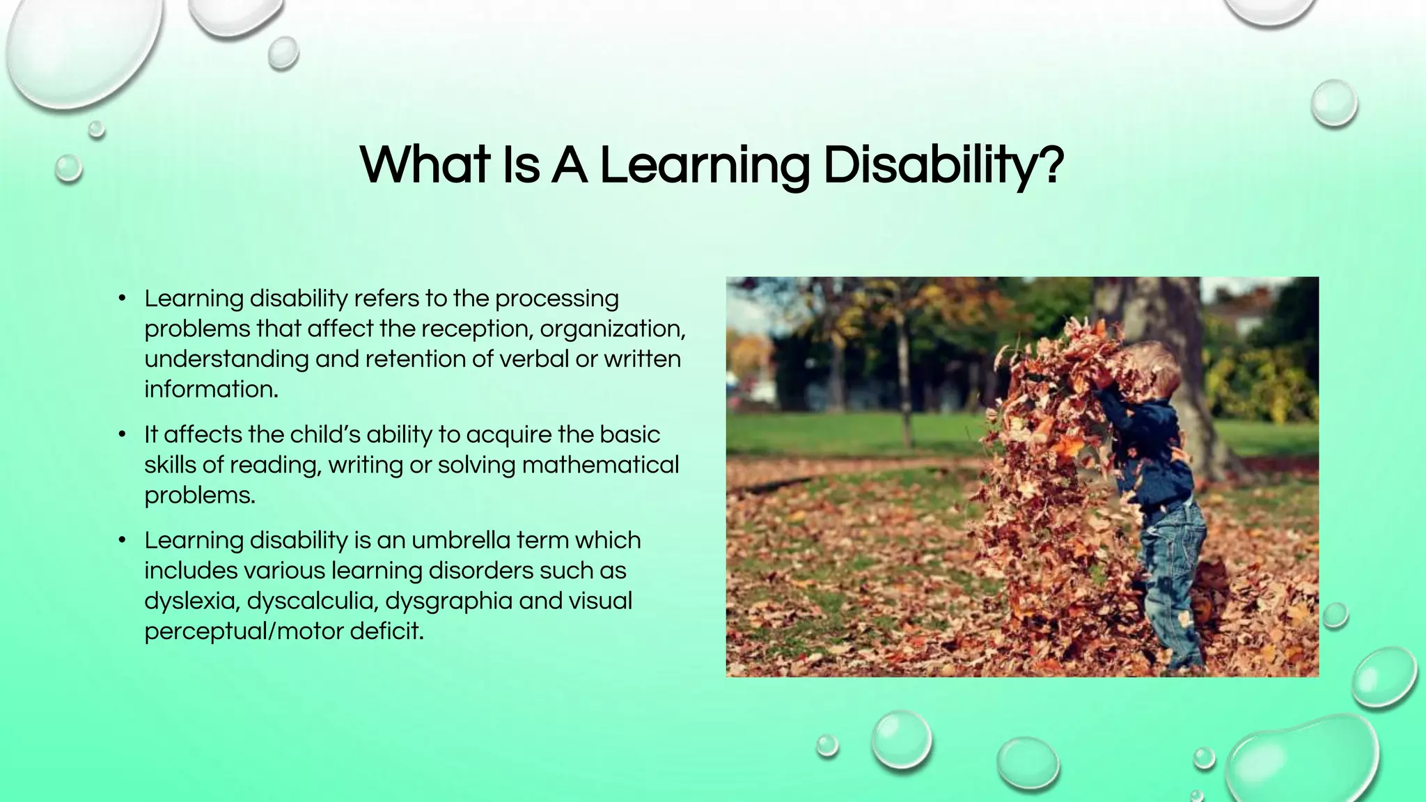 Learning Disabilities Schools Aiding Students To Achieve Academic ...