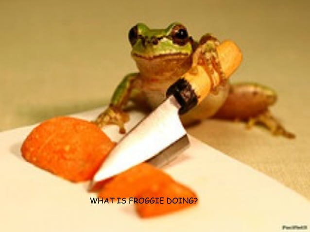 Learning english is fun | PPT