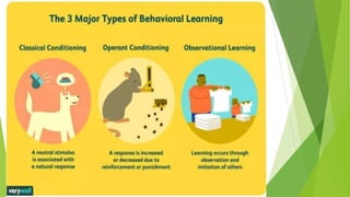 Learning in Psychology,, presentation 1.pptx | Educational Assessment ...