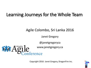 Agile Testing Learning Journeys For The Whole Team Janet G