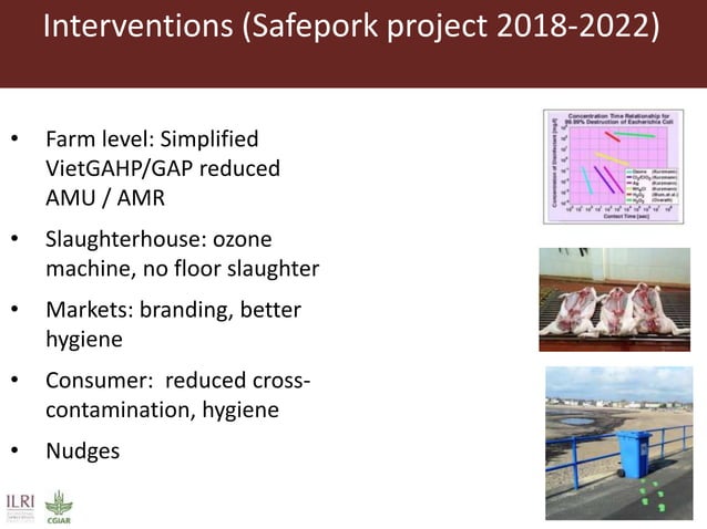 Pork value chain and safety in Vietnam: From research to interventions ...