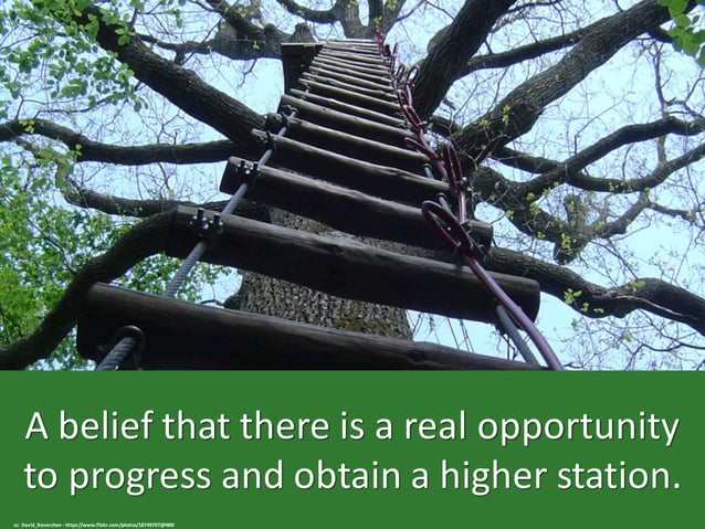 Learning ladders | PPT