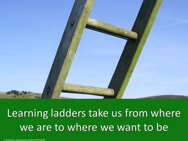 Learning ladders | PPT