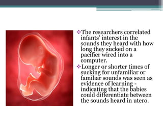 Learning language in the womb | PPTX