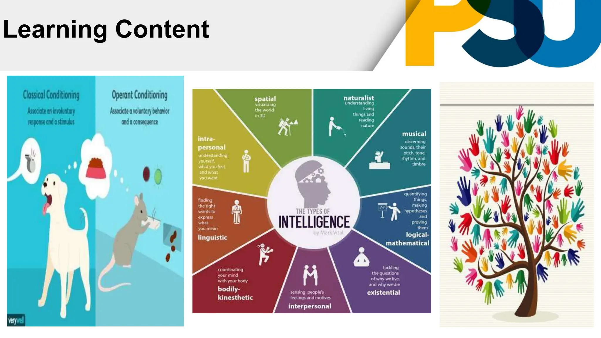 LEARNING, LEARNING DIFFERENCES AND LEARNING NEEDS.pptx