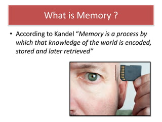 Neuroscience of Learning & memory | PPTX