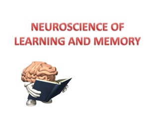 Neuroscience of Learning & memory | PPTX