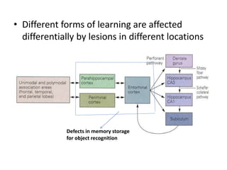 Neuroscience of Learning & memory | PPTX