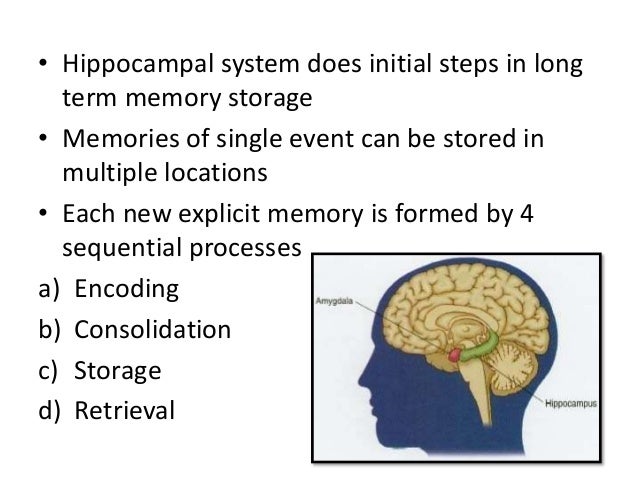 Neuroscience of Learning & memory Neuroscience of Learning & memory