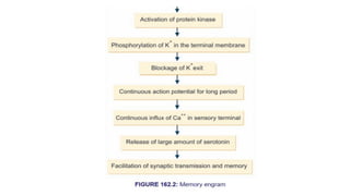 PHYSIOLOGY & TYPES OF LEARNING & MEMORY.pptx