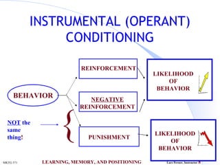 Consumer Knowledge ,Learning, memory, and positioning | PPT