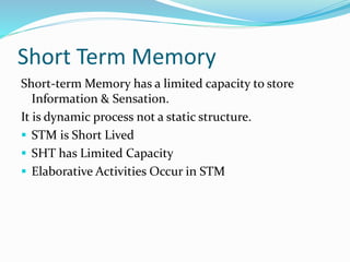 Learning, Memory and Retrieval | PPTX