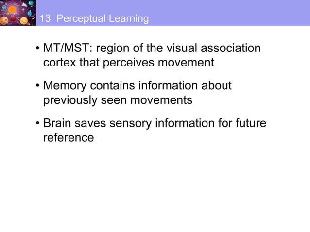 Biological Psychology: Learning & Memory | PPT