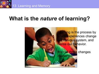 Biological Psychology: Learning & Memory | PPT