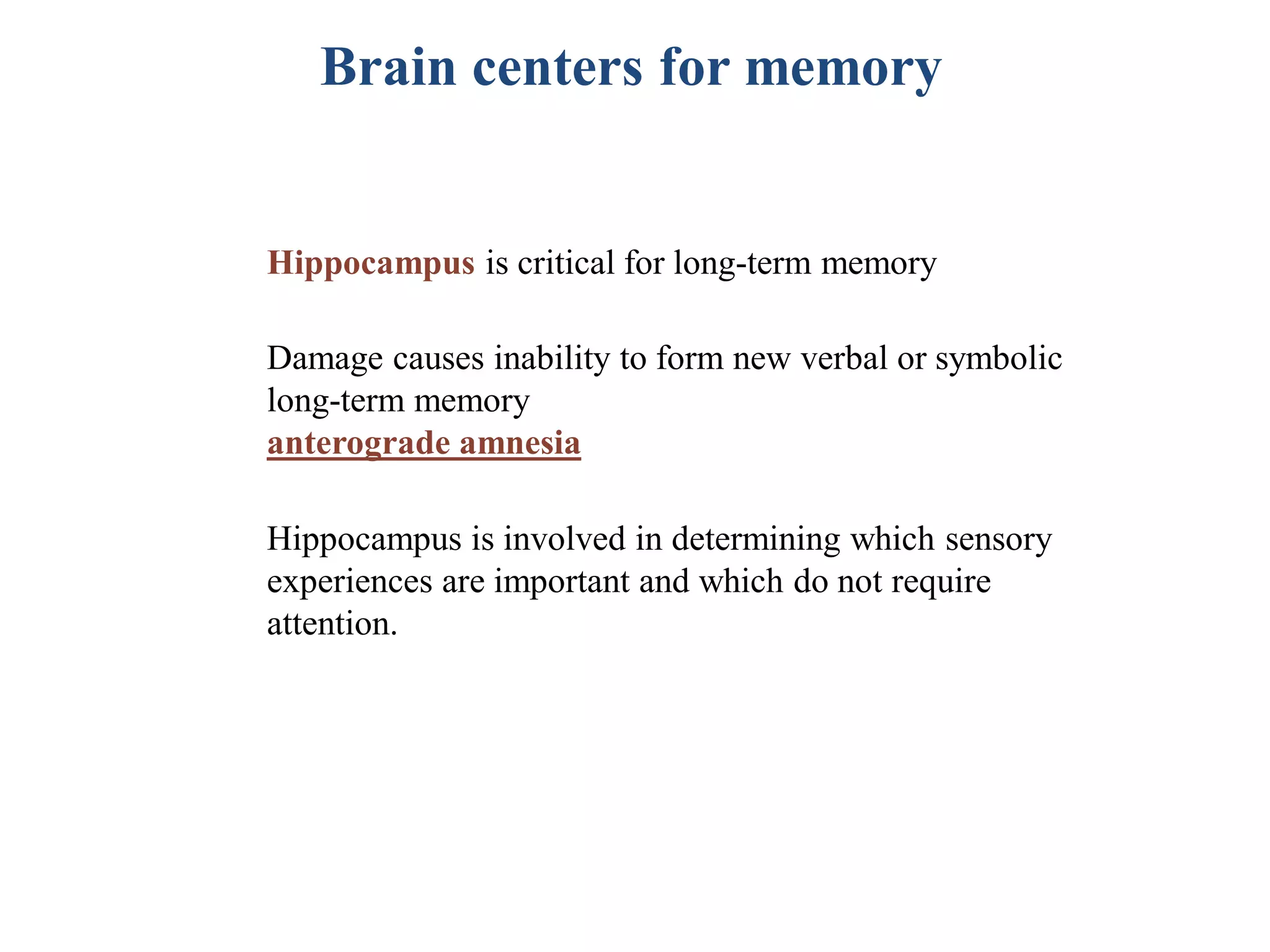 Cerebral Cortex Intellectual Functions Of The Brain Learning And