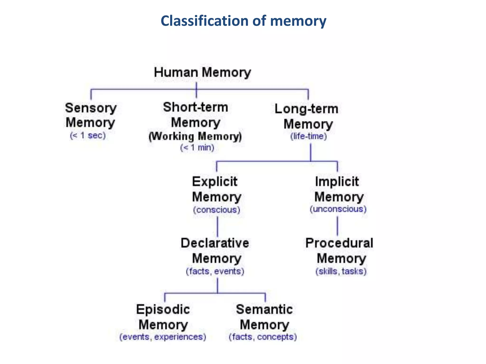 Cerebral Cortex, Intellectual Functions of the Brain, Learning, and Memory. | PPT