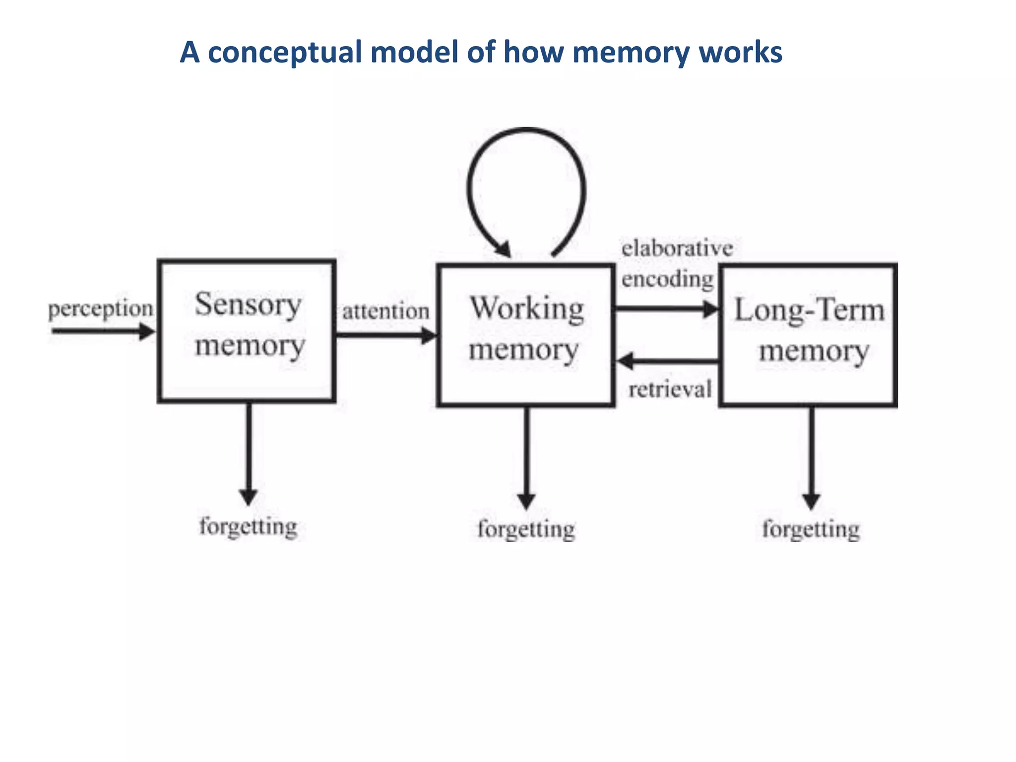 Cerebral Cortex, Intellectual Functions of the Brain, Learning, and Memory. | PPT