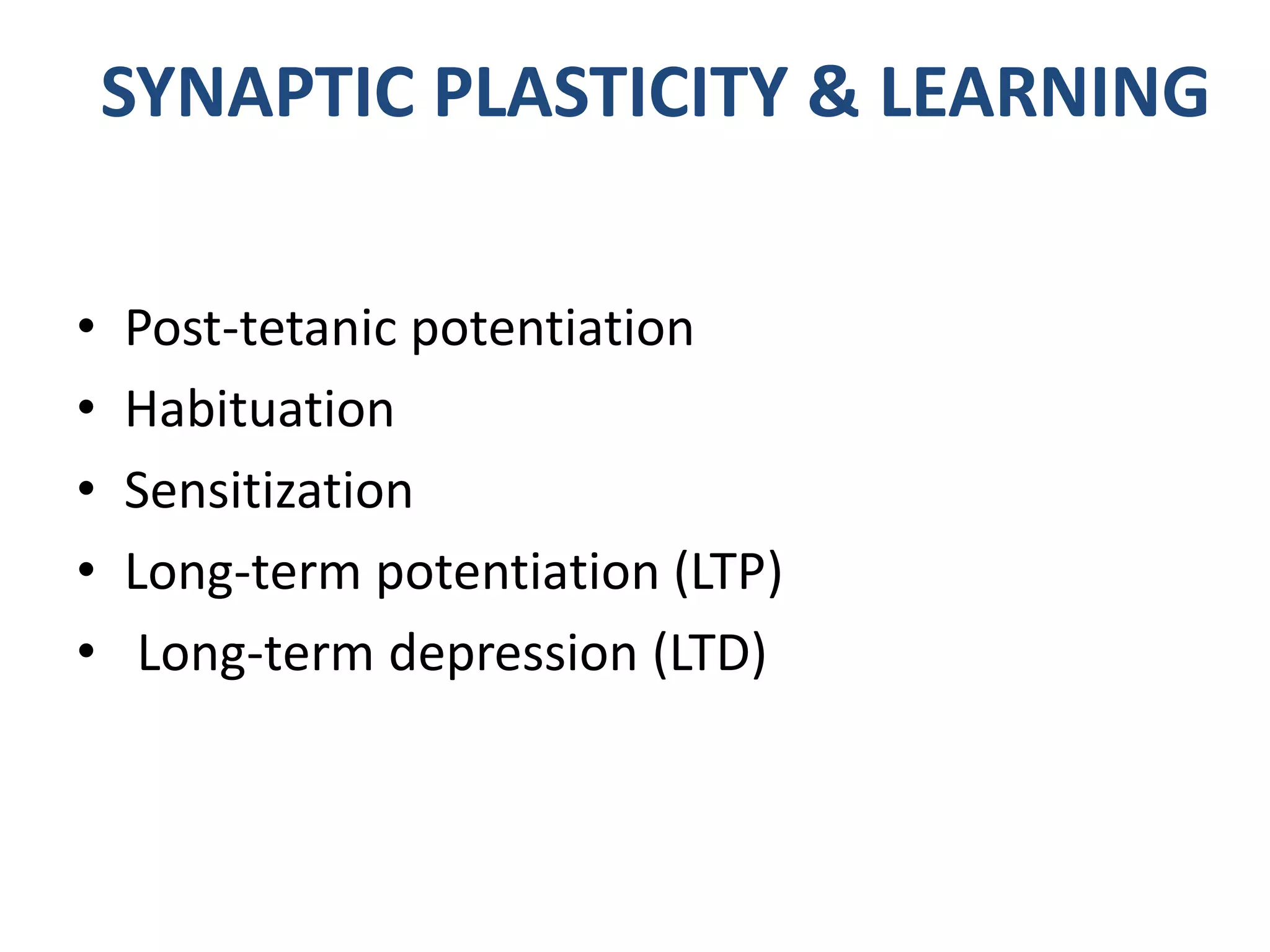 Cerebral Cortex, Intellectual Functions of the Brain, Learning, and Memory. | PPT