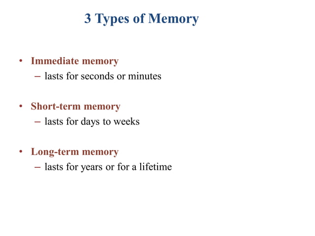 Cerebral Cortex, Intellectual Functions of the Brain, Learning, and ...