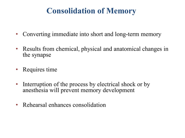 Cerebral Cortex Intellectual Functions Of The Brain Learning And Memory Ppt