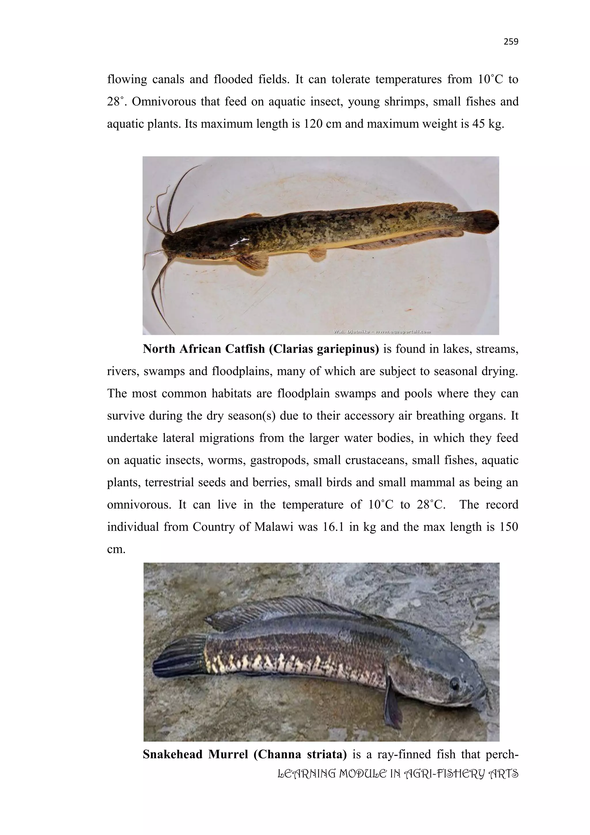 LEARNING_MODULE_IN_AGRI_FISHERY_ARTS_AGR.pdf