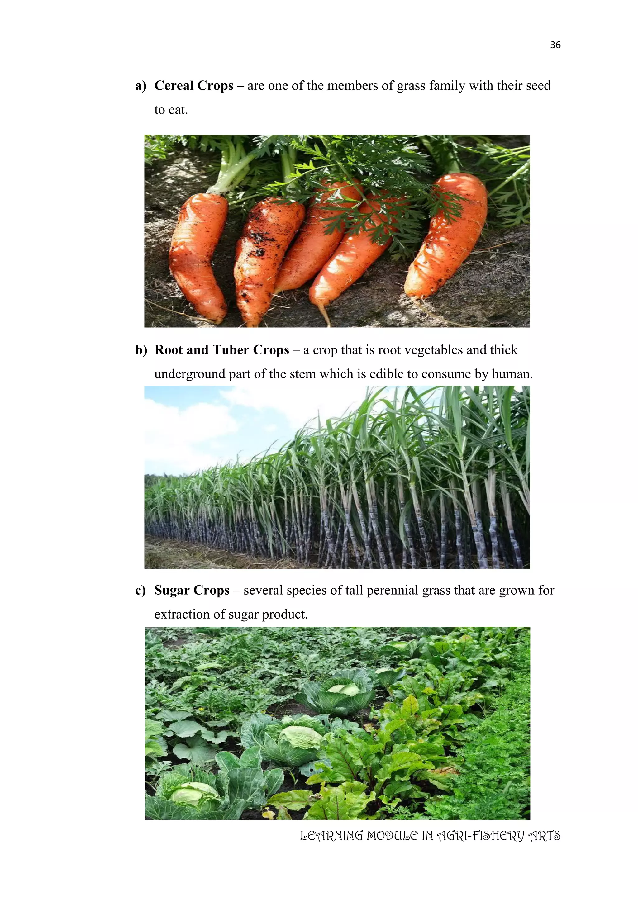 LEARNING_MODULE_IN_AGRI_FISHERY_ARTS_AGR.pdf