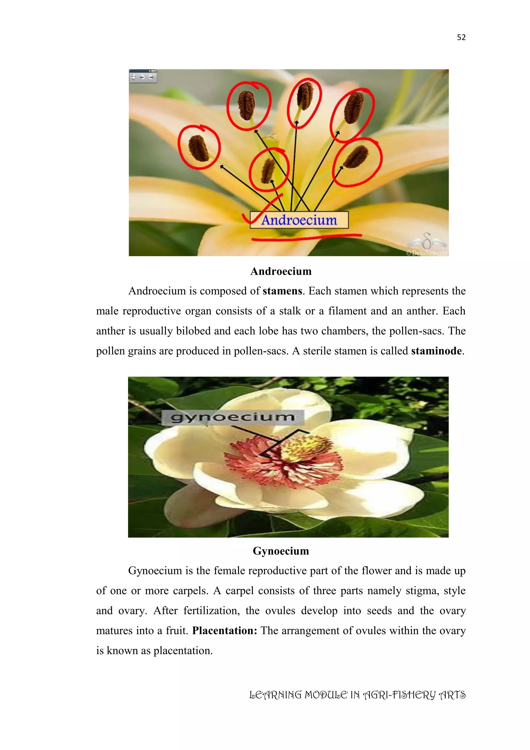 LEARNING_MODULE_IN_AGRI_FISHERY_ARTS_AGR.pdf