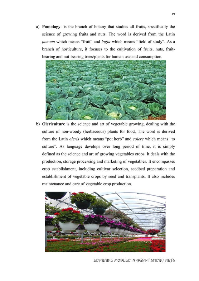 LEARNING_MODULE_IN_AGRI_FISHERY_ARTS_AGR.pdf