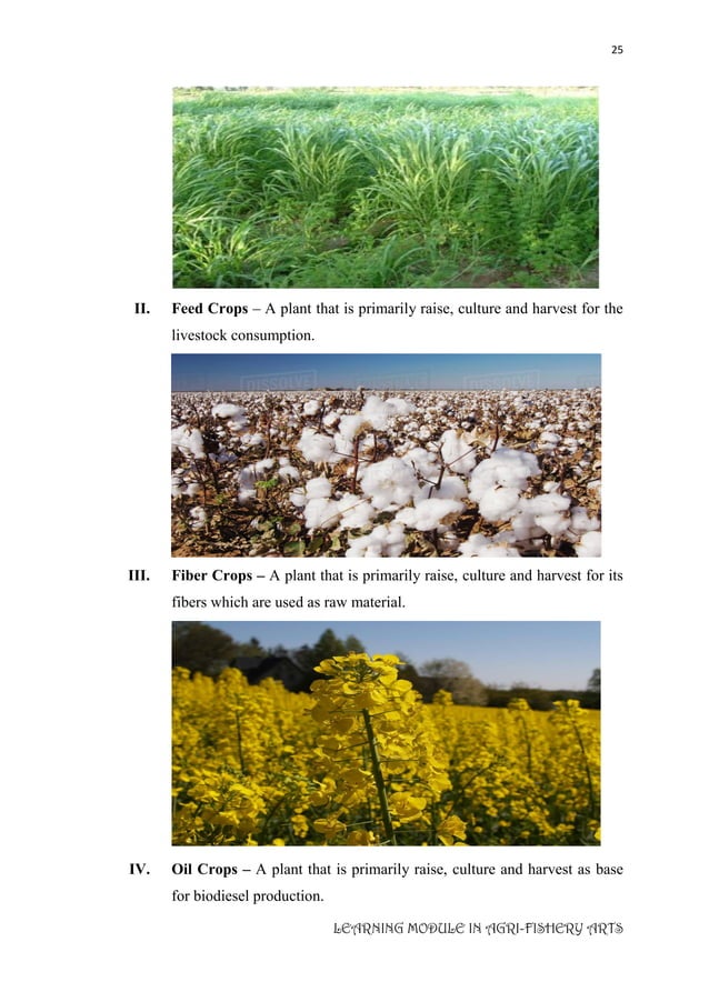 LEARNING_MODULE_IN_AGRI_FISHERY_ARTS_AGR.pdf