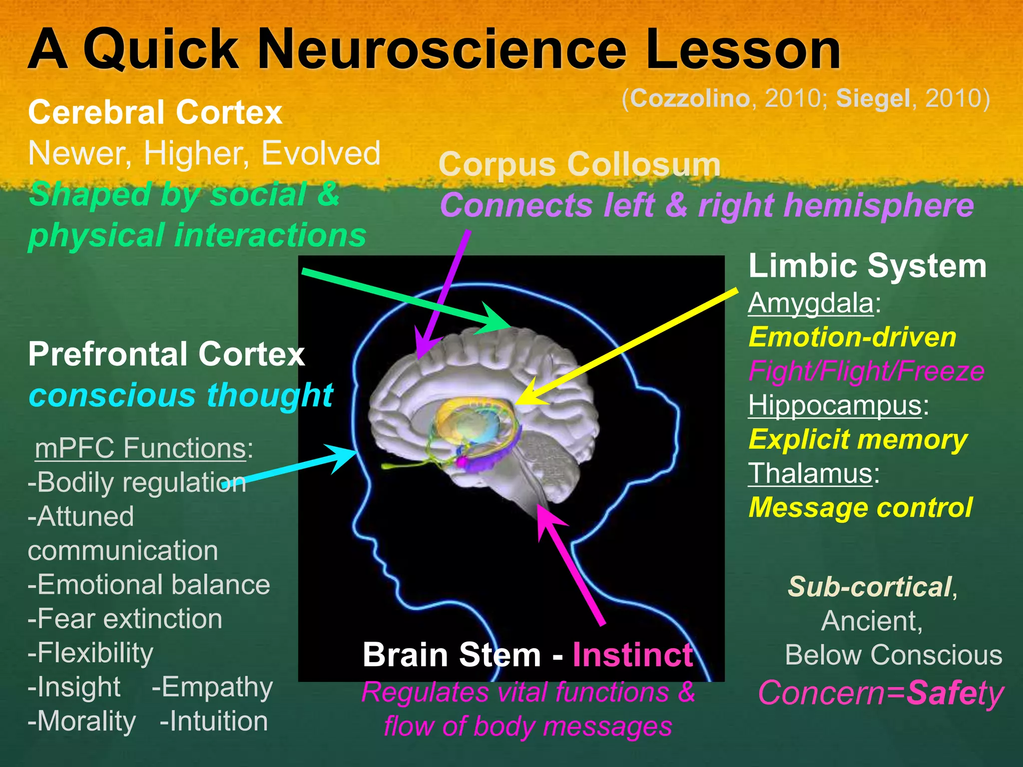 Neuroscience, Mindfulness and Learning | PPTX