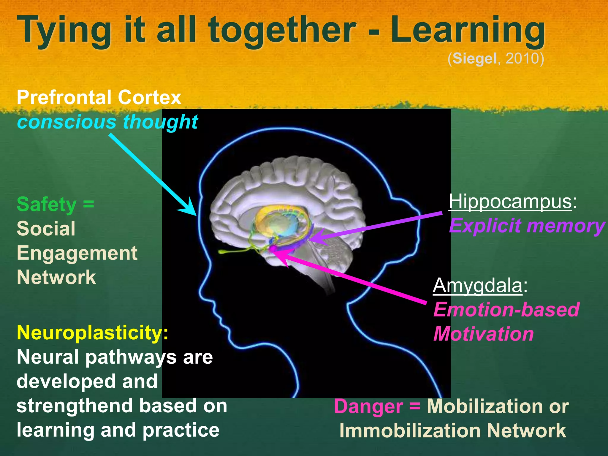 Neuroscience, Mindfulness and Learning | PPTX
