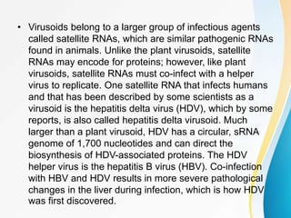 other viral types.pptx