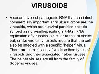 other viral types.pptx